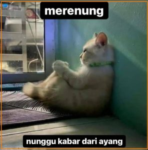 40 Meme Ayang Lucu Yang Lagi Viral Untuk Caption Medsos